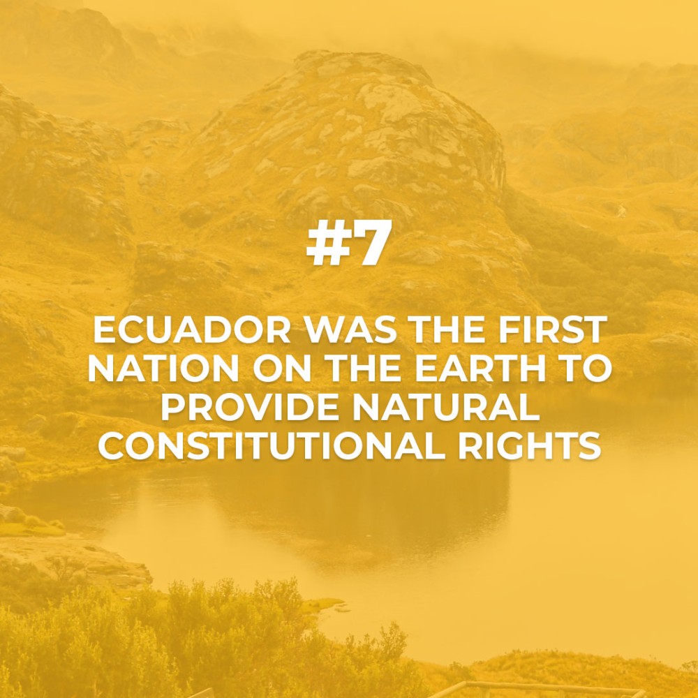 DISCOVER 8 INTERESTING FACTS ABOUT LATAM - LARM