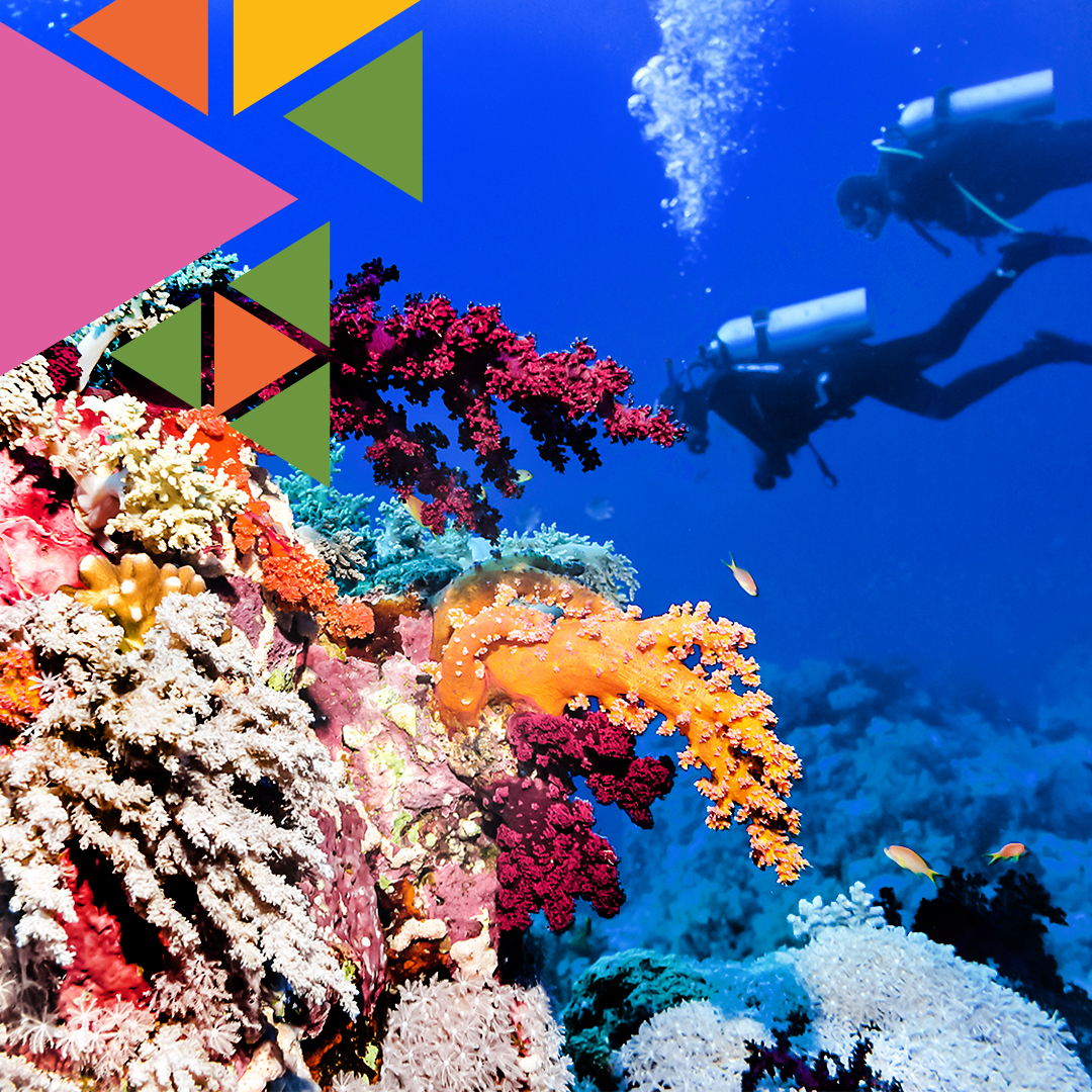 DESTINATION OF THE MONTH: BELIZE BARRIER REEF RESERVE SYSTEM - LARM