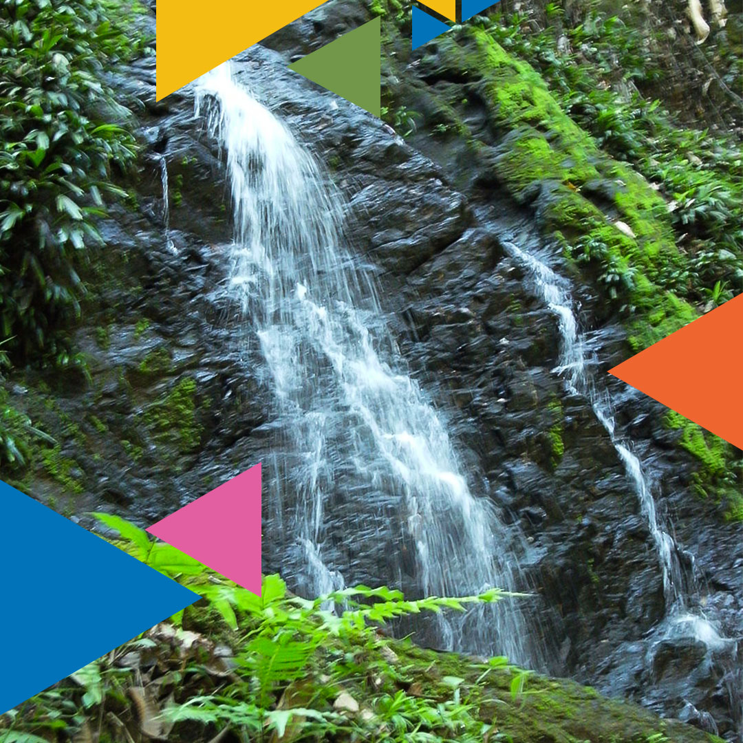 DESTINATION OF THE MONTH: BROWNSBERG NATURE PARK, SURINAME - LARM